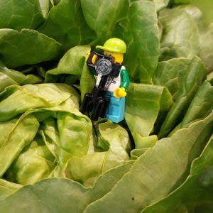 Lego in supermarkt: snowboarden, vissen, fotograferen