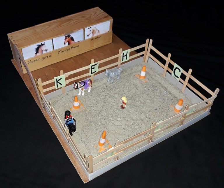 Surprise Paardenstal | Sinterklaas | Paard Rijden | Manege